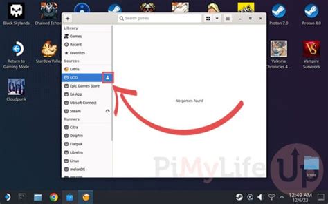 How To Install And Use Lutris On The Steam Deck Pi My Life Up