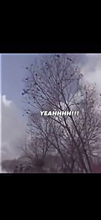 A10 Warthog Go Brrrrr Military A10warthog Shorts Youtube