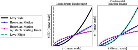 Comparison Of Normal Diffusion Superdiffusion And Subdiffusion Via