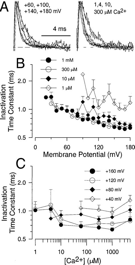 Voltage And Ca 2 Dependence Of The Inactivation Time Constant Of 3 Download Scientific Diagram
