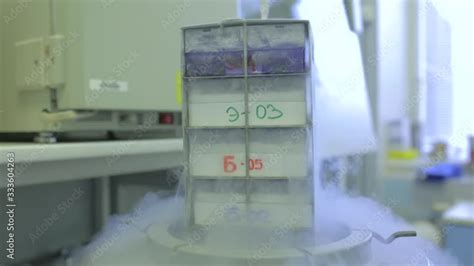 Video Storing Frozen Eggs And Sperm In A Box Filled With Liquid Nitrogen Way To Store Human