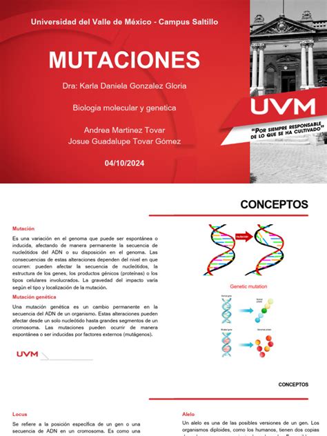 Mutaciones Pdf Pdf Mutación Codigo Genetico