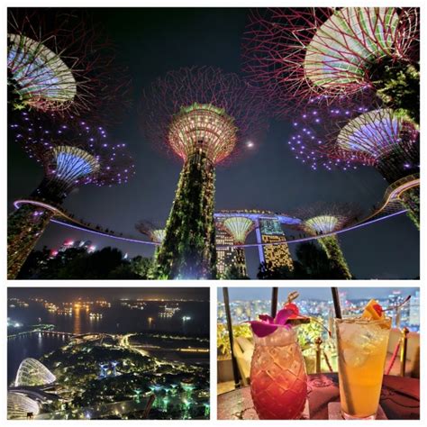 싱가포르 여행 필수코스 가든스 바이 더 베이 슈퍼트리쇼와 마리나베이샌즈 싱가포르 세라비ce La Vi Sky Bar 루프탑바 네이버 블로그