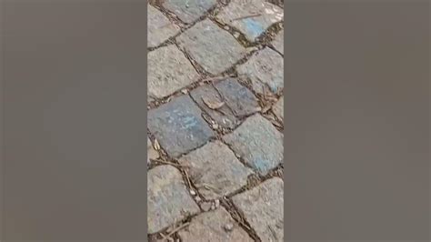 Коледен ретро трамвай Youtube