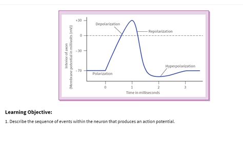 Learning Objective 1 Describe The Sequence Of