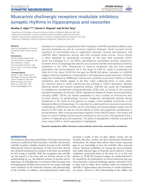 Pdf Muscarinic Cholinergic Receptors Modulate Inhibitory Synaptic