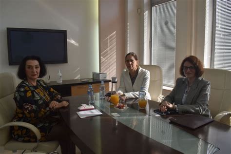 Работна средба на директорката на Академијата проф д р Наташа Габер Дамјановска со