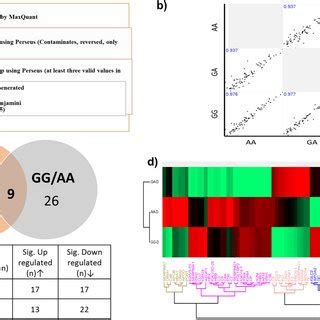 Schematic Representation Of Proteomic Data Analysis A Filtration Download Scientific Diagram