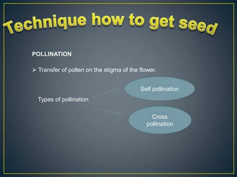 Seed Propagation Agribotany Ppt Seed Propagation Agribotany Ppt