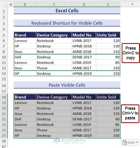 Excel Cells Basics A Beginners Guide Exceldemy
