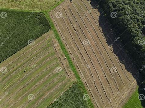 Mowed Grass Fields Cornfields And Trees In The Countryside From Above Stock Image Image Of