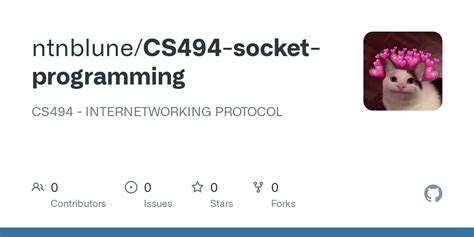 github ntnblune cs494 socket programming cs494 internetworking protocol