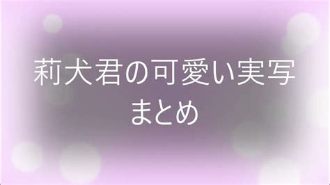 莉犬くん実写まとめ これで癒されてください ´艸` Youtube