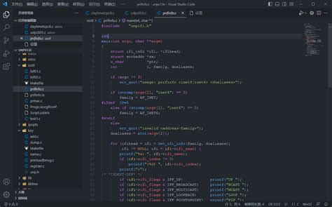 【vscode 主题】推荐几个适合看 c c 代码的 vscode 主题 csdn博客