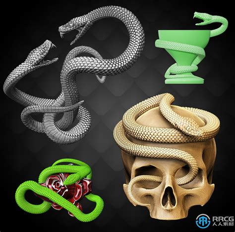 蛇形态zbrush Imm笔刷合集 Cg素材岛