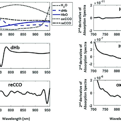 Specific Absorption Spectra And Second Differential Spectra Of The Five