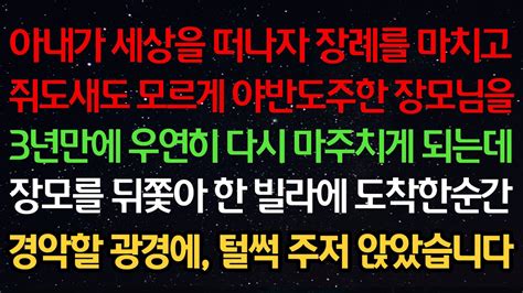 실화사연 아내가 세상을 떠나자 장례를 마치고 쥐도새도 모르게 야반도주한 장모님을 3년만에 우연히 마주치게 되는데 장모를 뒤쫓아