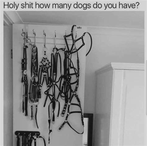Sex Memes Everyone Will Find Hilariously Relatable