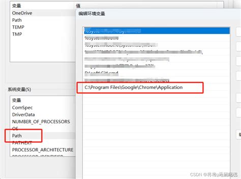 selenium 安装chrome驱动 selenium chrome驱动 csdn博客