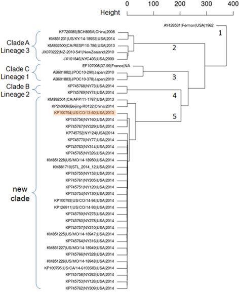 Hierarchical Clustering With Complete Linkage Of 40 Strains Based On Download Scientific