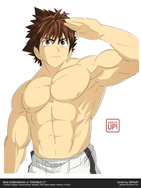 Muscleup Sena Kobayakawa By Zephleit On Deviantart