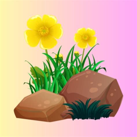 Planting Grass Tracker By Zohaib Tahir