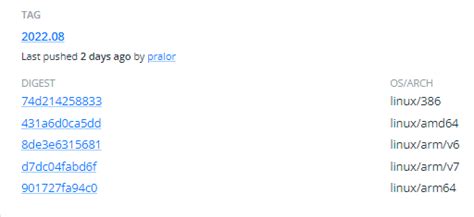 Latest Docker Tag Is On Ftl 5161 · Issue 1177 · Pi Holedocker Pi