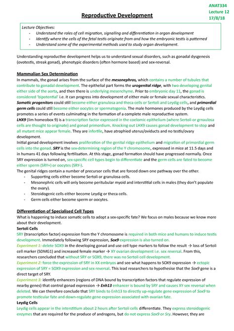 Lecture Reproductive Development Reproductive Development Understanding Reproductive