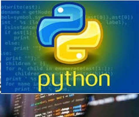 Tutor You In Python And Web Development By Salmanalpha2 Fiverr