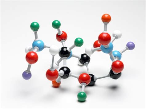 What Is The Relationship Between The Size Of The Molecules Diffusion Through The Cell Membrane