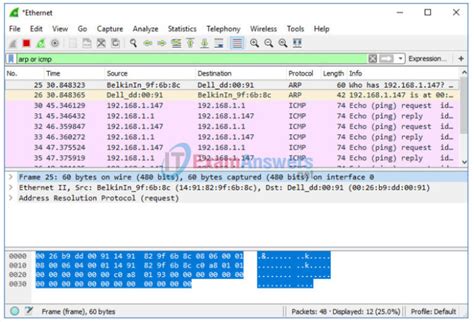 Lab Using Wireshark To Examine Ethernet Frames Answers