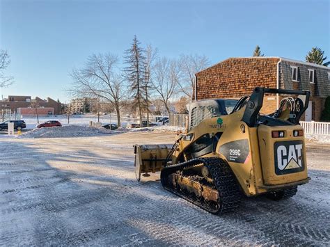 Top 38 Tree Removal Services In Edmonton