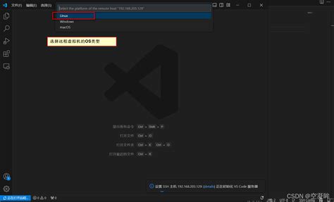 Windows上安装vscode，通过ssh连接虚拟机中的linux进行远程开发的配置方法vscodessh远程连接虚拟机 Csdn博客