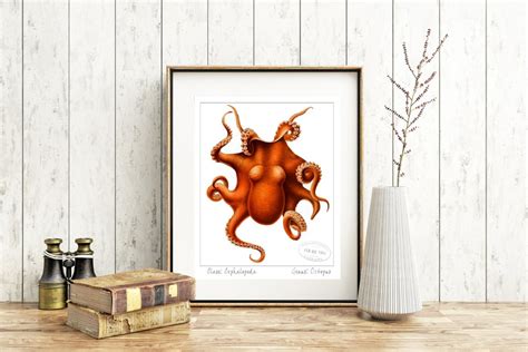 Instant Download Octopus Specimen Art Print Your Own Digital Etsy