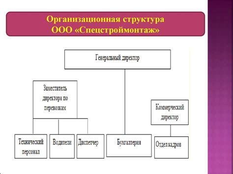 Анализ эффективности организационной структуры управления на предприятии ООО «Спецстроймонтаж