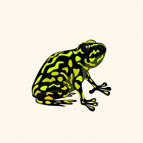 Premium Vector Bright False Toad Australian Reptile Vector Illustration