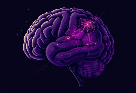 Understanding Schizophrenia In Our Society