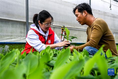 廣西興業：科技特派員送技下鄉助力鄉村振興中國鄉村振興線上國家鄉村振興資訊門戶
