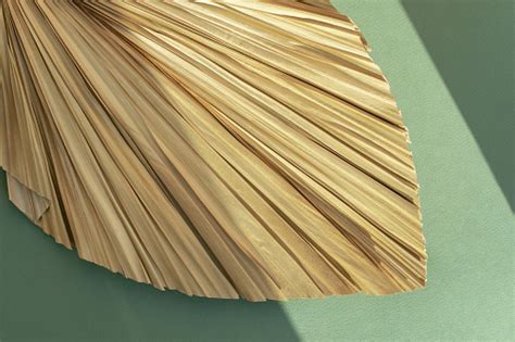 마른 야자수 잎의 질감은 녹색 배경에 햇빛과 그림자를 닫습니다 최소한의 자연의 개념 떠남에 대한 스톡 사진 및 기타 이미지 떠남 베이지 열대 기후 Istock