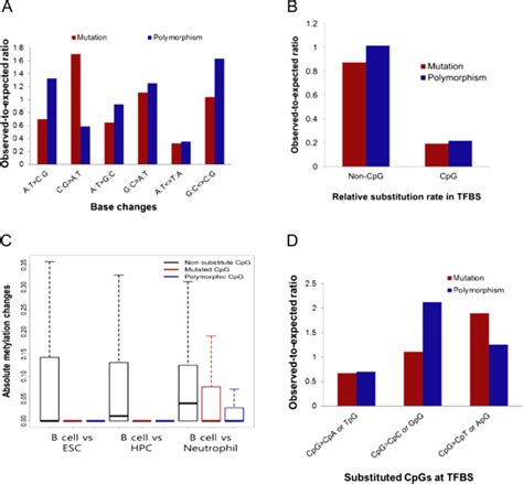 Spectrum Of Base Substitutions By Mutation And Polymorphism A