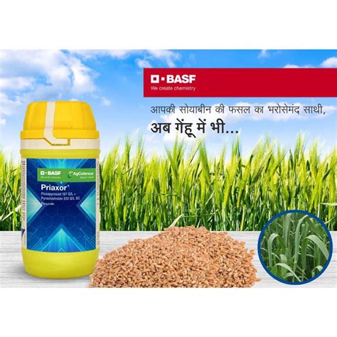 Basf Priaxor Fluxapyroxad 167 G L Pyraclostrobin 333 G L Sc Fungic Cultree India