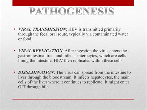 Hepatitis E Virus Virology Presentations Pptx Infectious Diseases