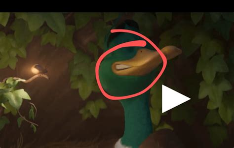 Migration Is Weird Ranimation