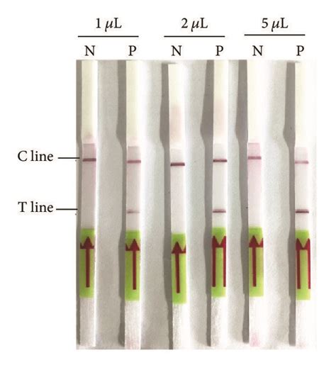 Optimization Of The Rpa Lf Detection System A Various Concentrations