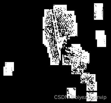 基于MATLAB的数字图像处理指纹增强 指纹识别数字图像处理 CSDN博客
