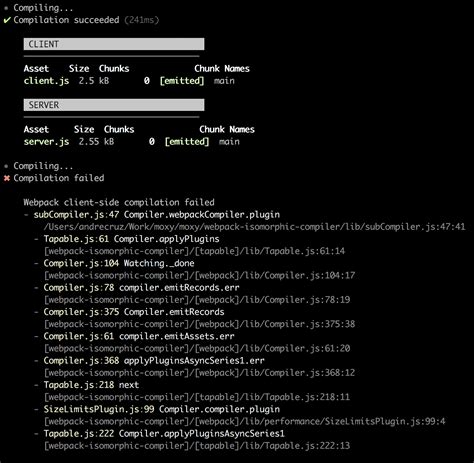 webpack isomorphic compiler reporter npm