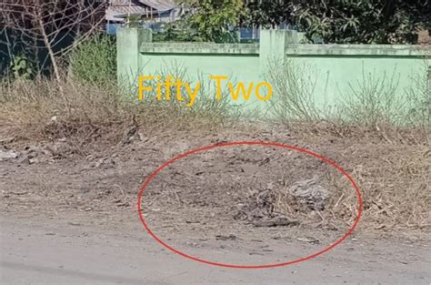 ကလေးမြို့၊ တောင်ဇလပ်ရပ်ကွက် သစ်တောရုံးဝန်းအနီးတွင် Pdf အကြမ်းဖက်သမားမ