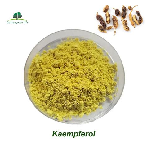 China Organic Kaempferol Manufacturers Factory Wholesale Service