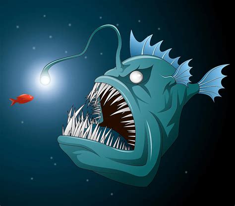 Angler Fish Eating Fish