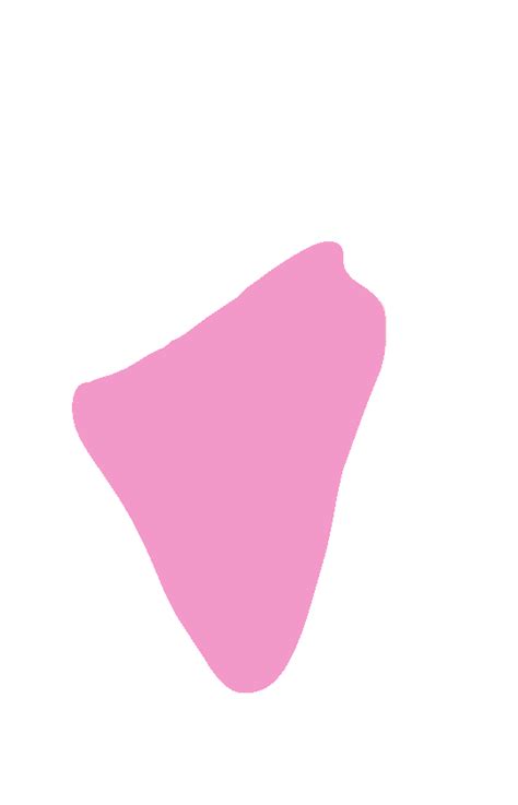 Upper Extremities Bones